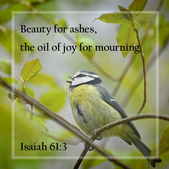 THE OIL OF CONSOLATION – LIFE ON THE ALTAR